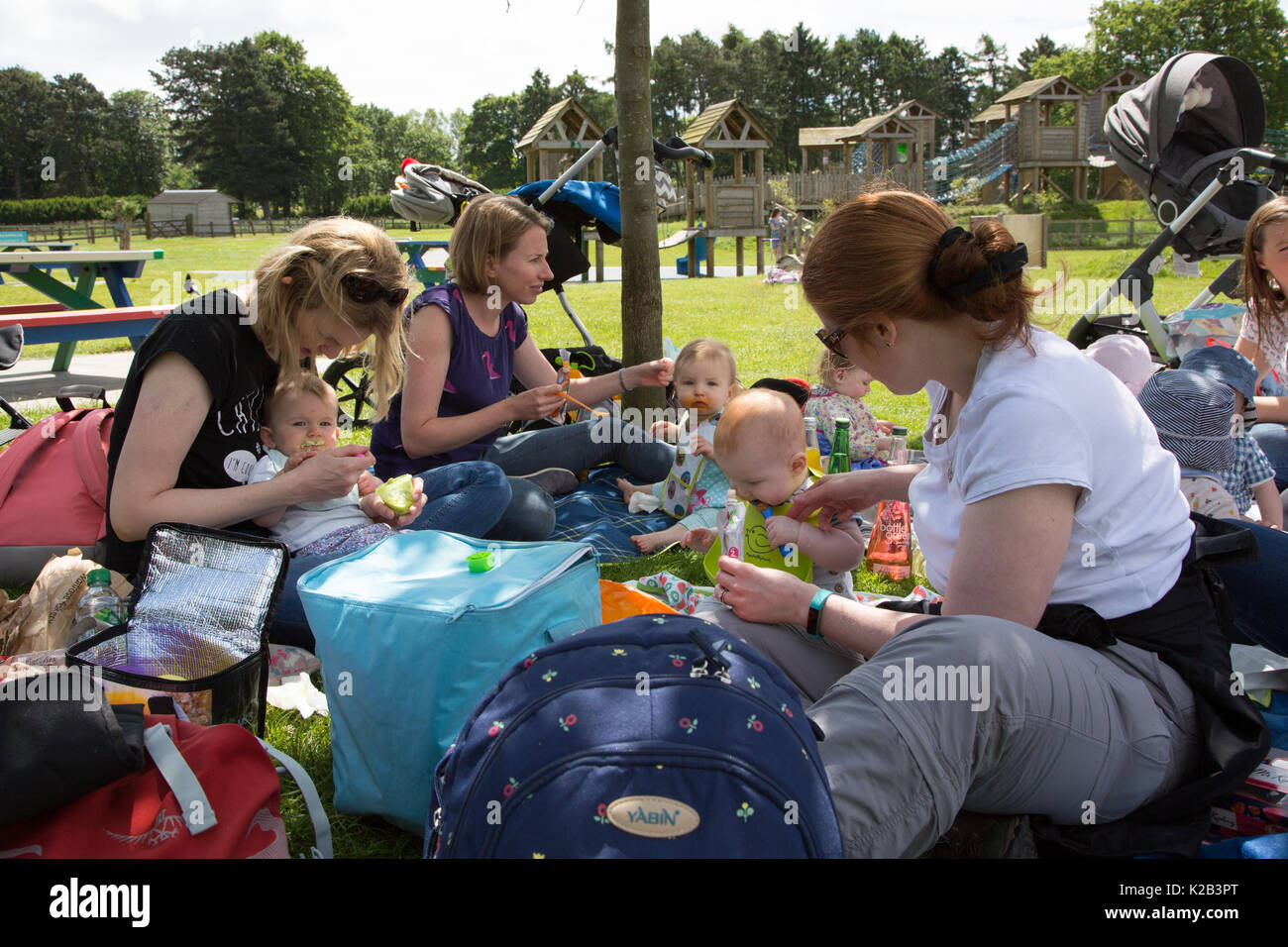 A group of NCT mums meeting up for a picnic with their babies Stock ...