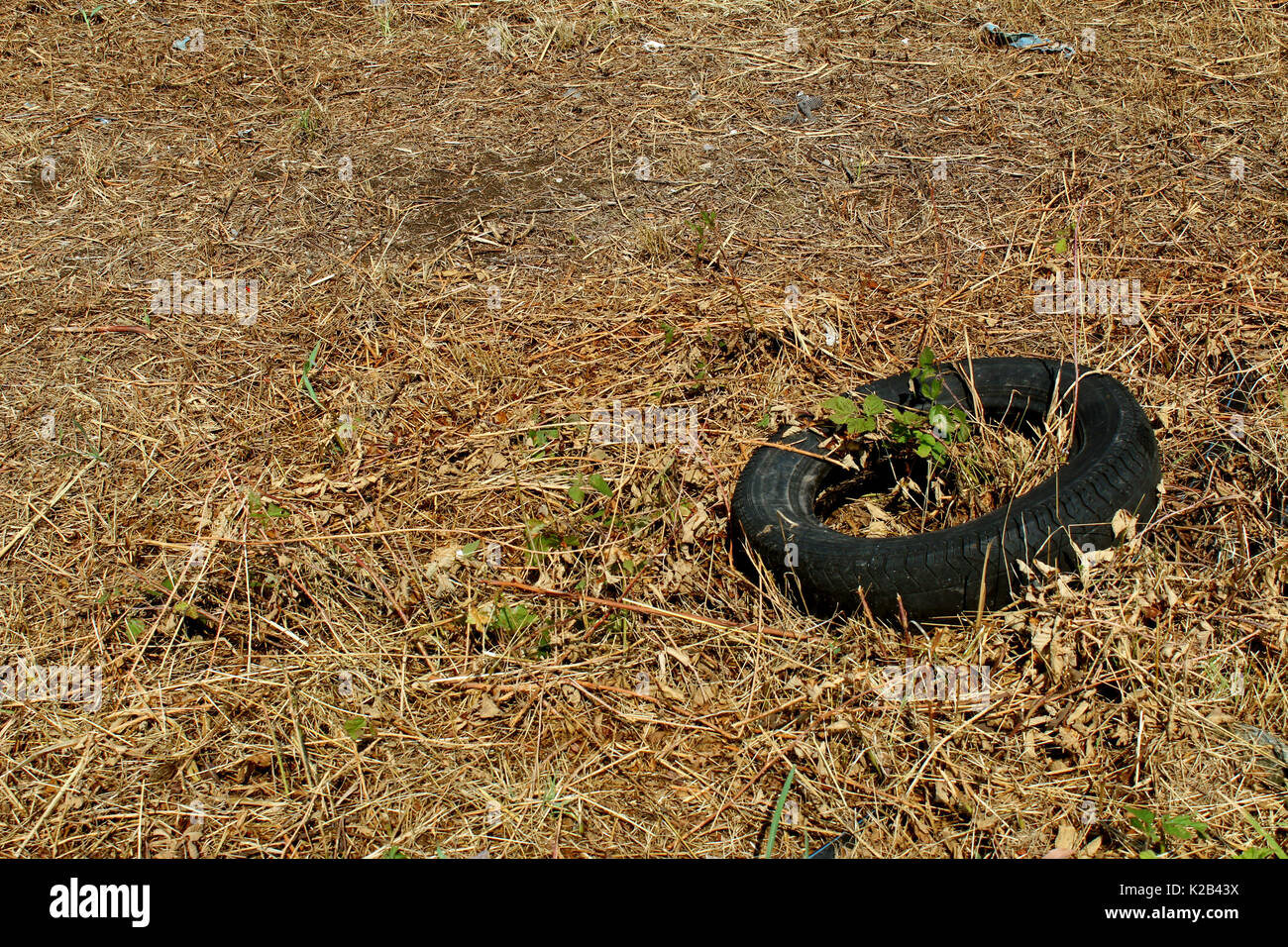 Tire waste hi-res stock photography and images - Alamy