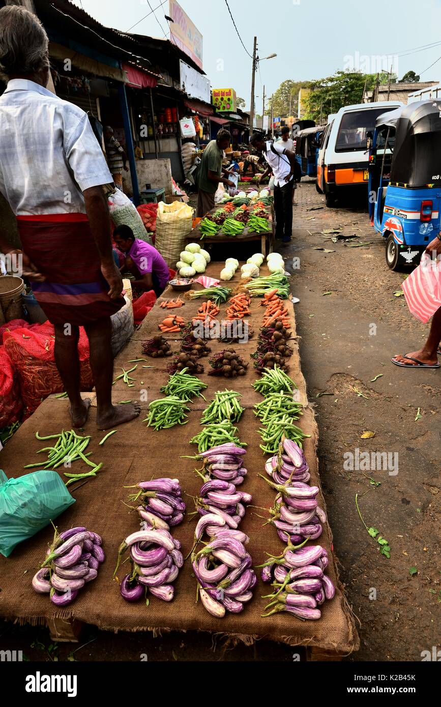 Shoppers at Manning Market, Colombo, Sri Lanka Stock Photo - Alamy