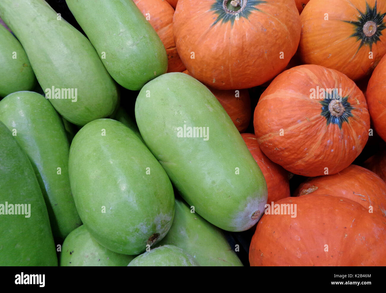 Pile of Green Color Winter Melons and Orange Color Pumpkins at the ...