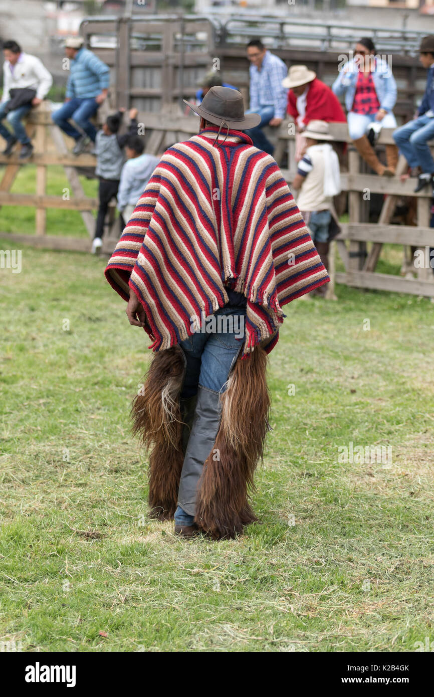 June 3, 2017 Machachi, Ecuador: cowboy wearing furry chaps and striped ...