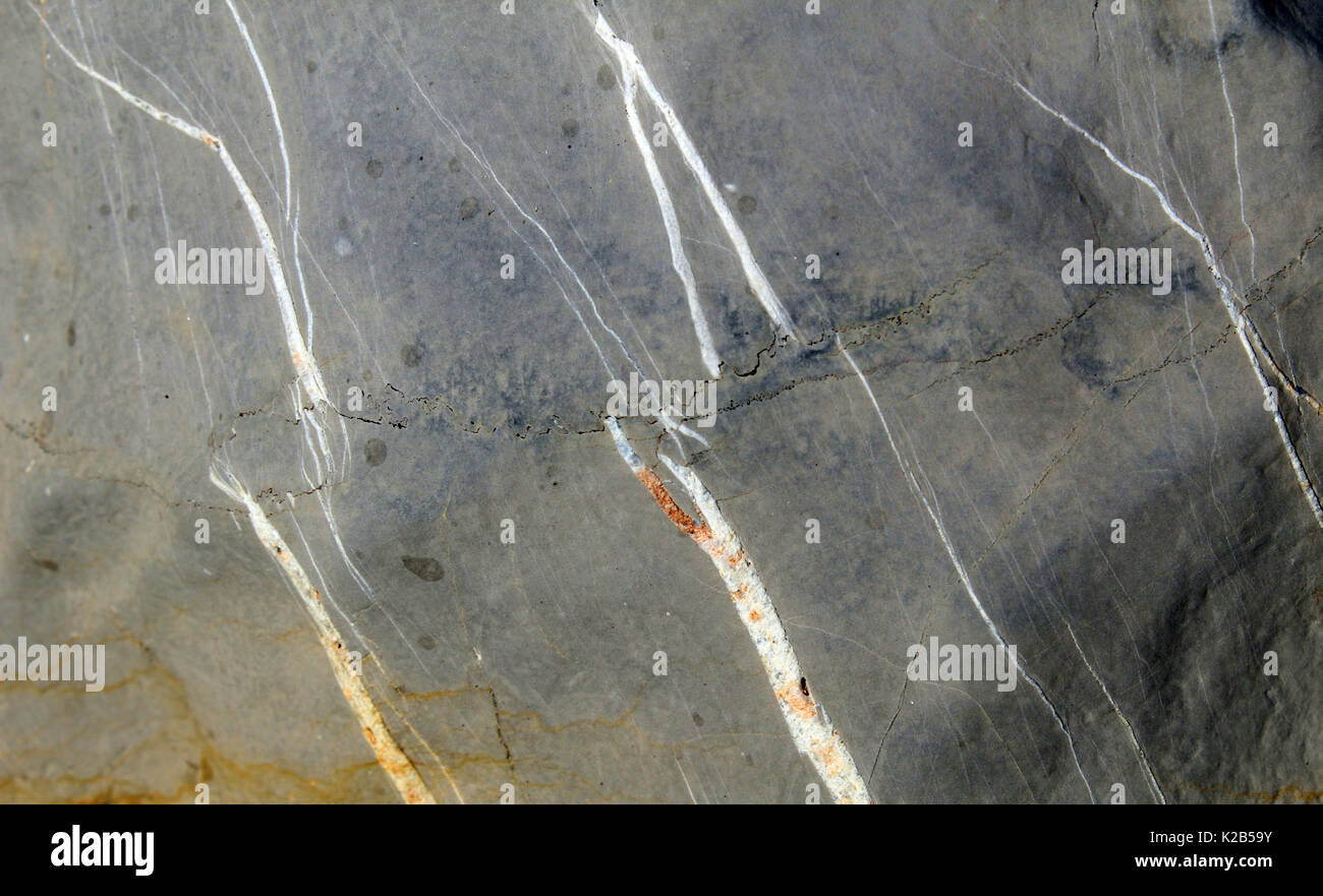 Grey limestone with calcite veins Stock Photo - Alamy