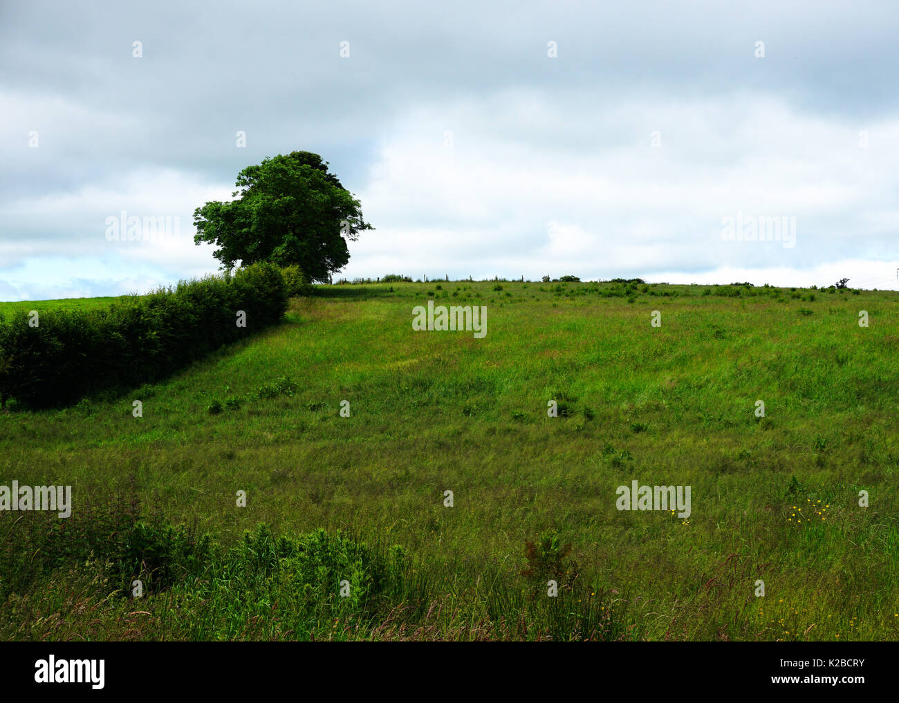 Omagh ireland hi-res stock photography and images - Alamy