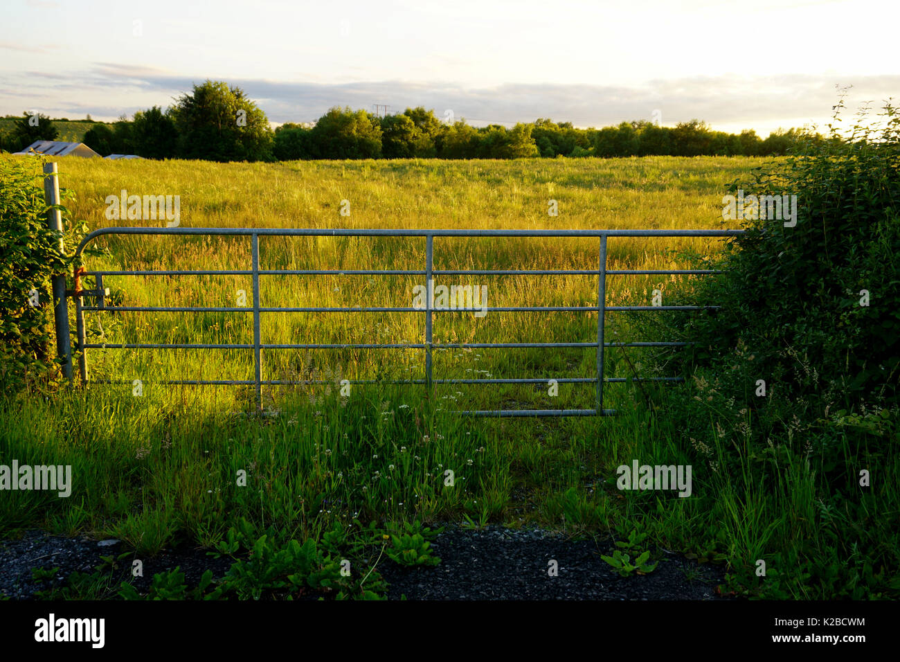 Ireland countryside gate hi-res stock photography and images - Alamy