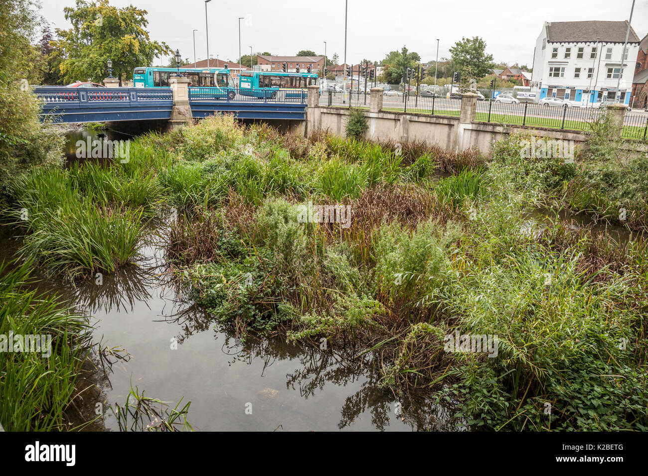 River Skerne in Darlington,England,UK Stock Photo - Alamy