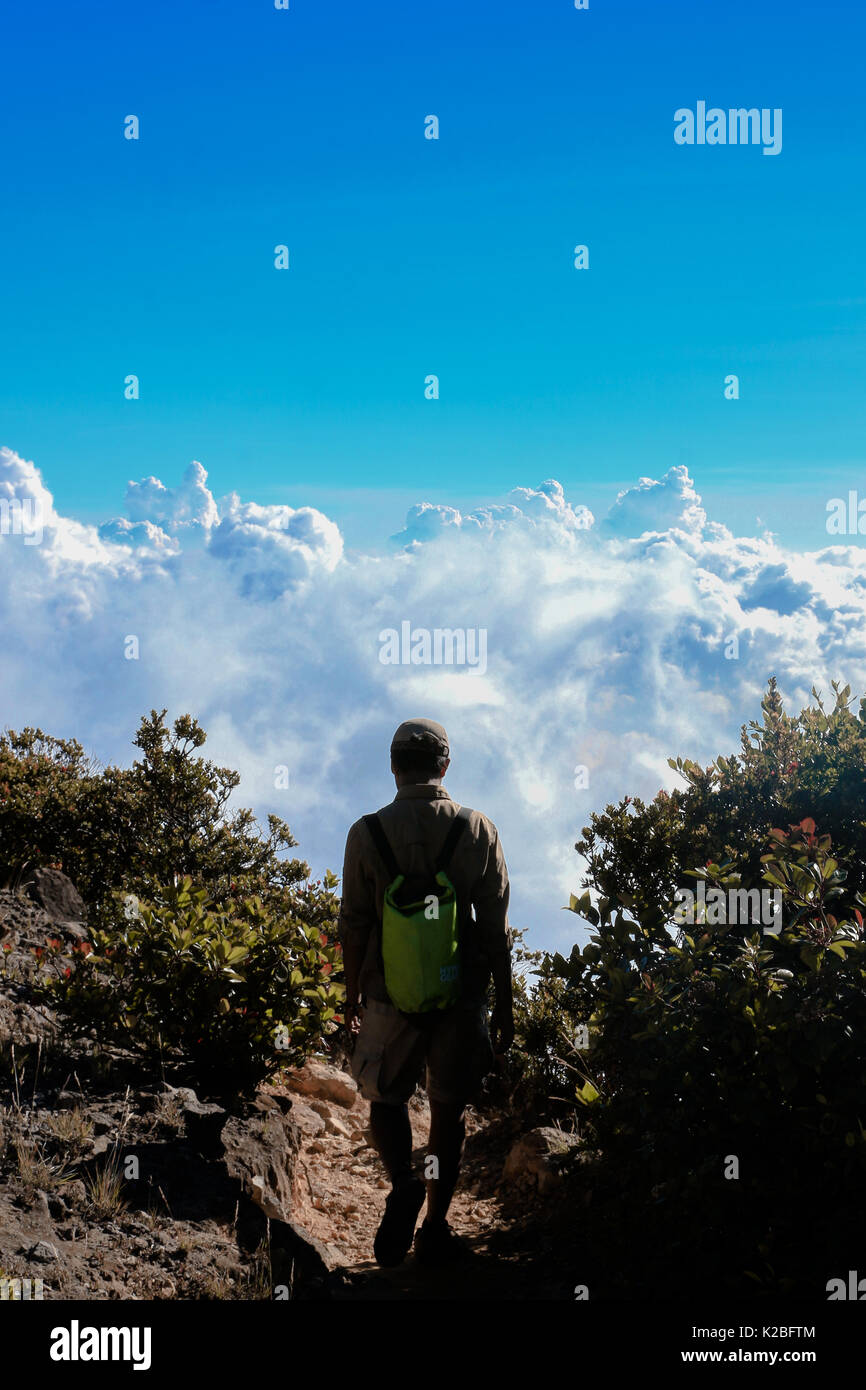 View from the back of a climber in Mount Arjuno-Welirang, East Java ...
