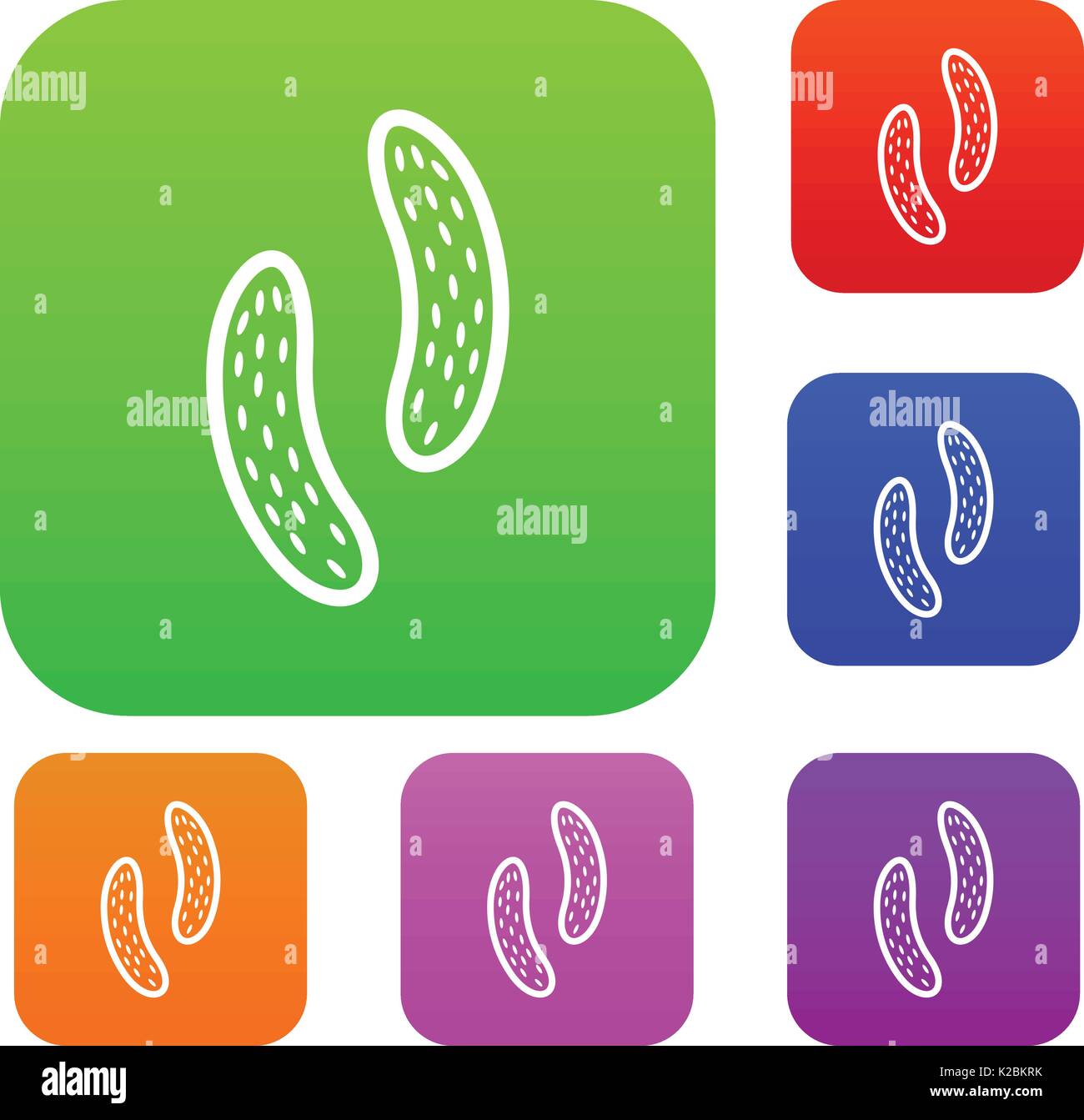 Epithelial cell set collection Stock Vector Image & Art - Alamy