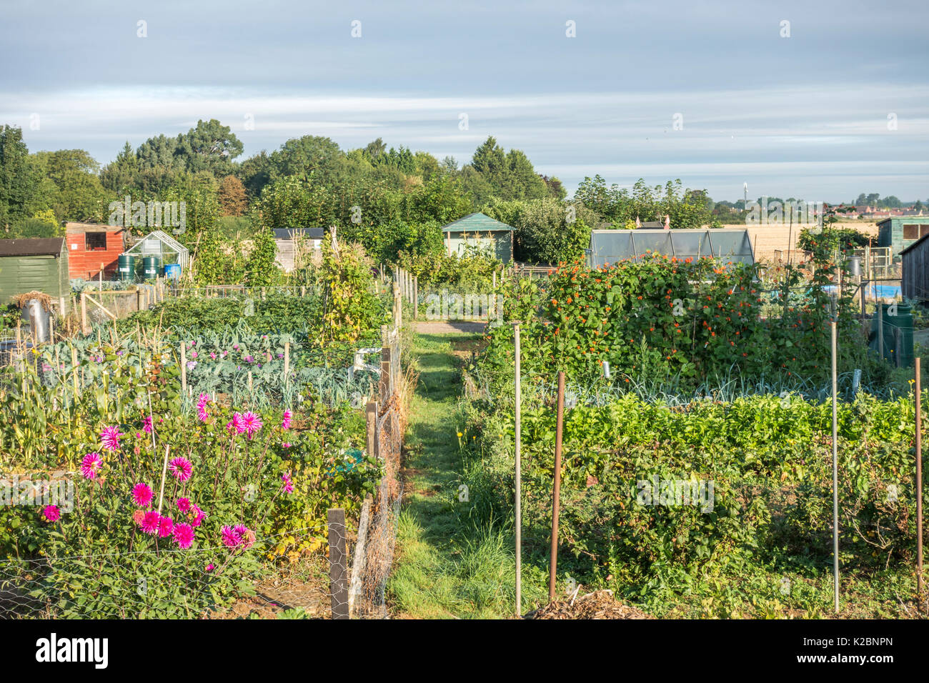 Soil british uk english allotments hi-res stock photography and images ...