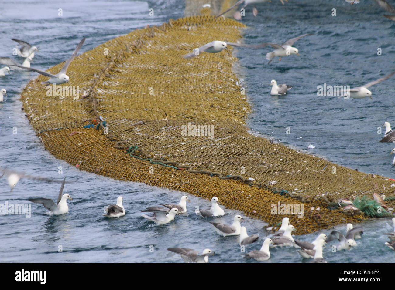 Trawler net full hi-res stock photography and images - Alamy