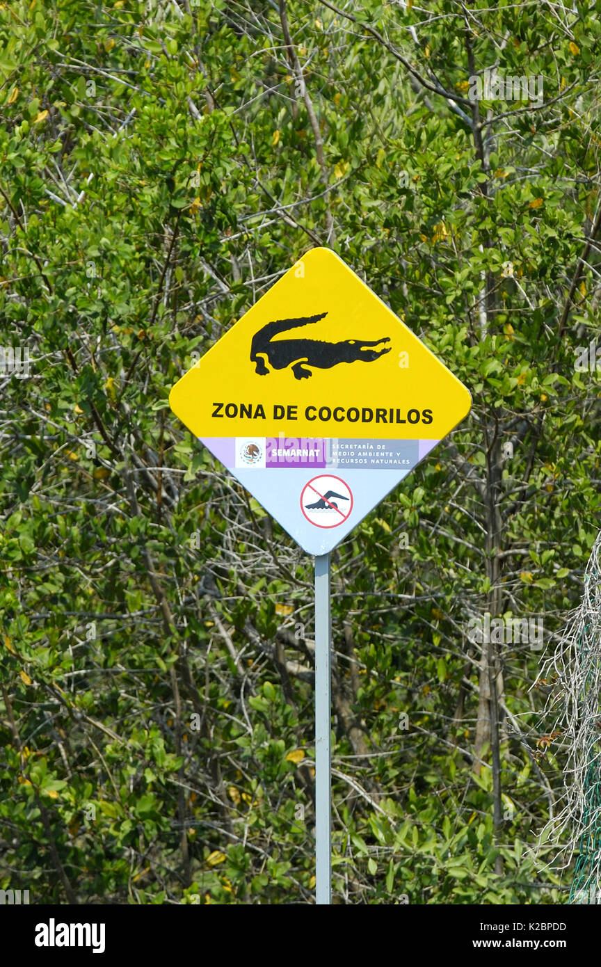 Crocodile warning sign, warning against American crocodile (Crocodylus ...