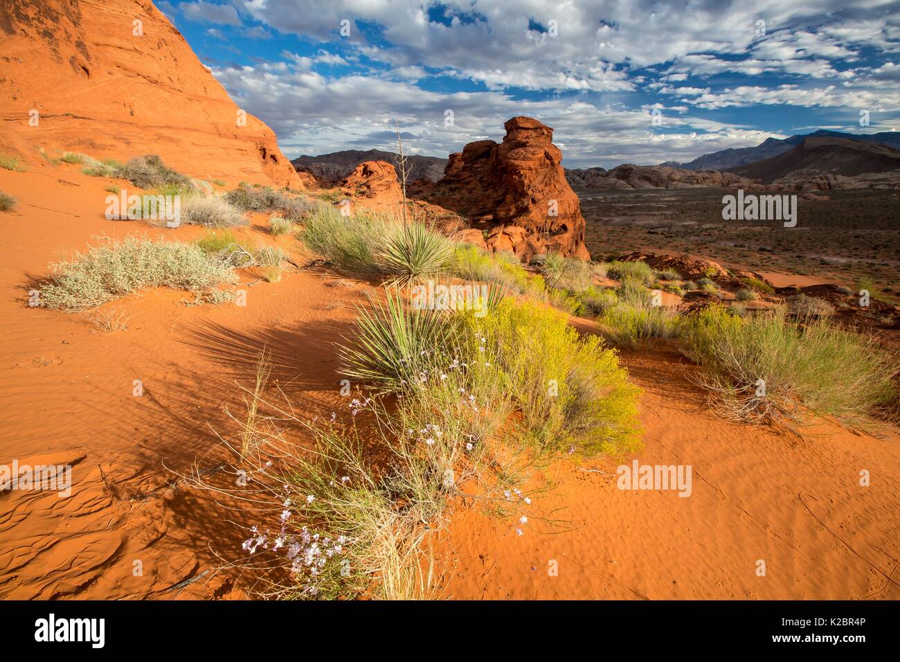 The sun sets over sandstone rock striations at the Little Finland ...