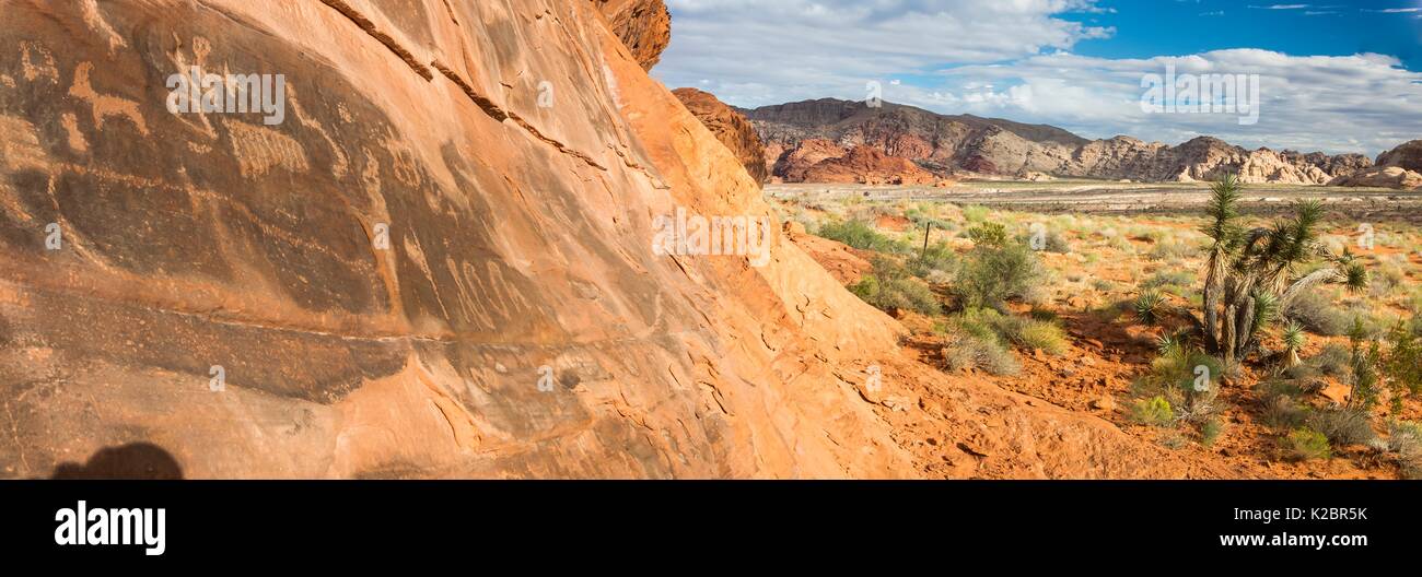 Native American petroglyph rock art is carved into the Aztec sandstone ...