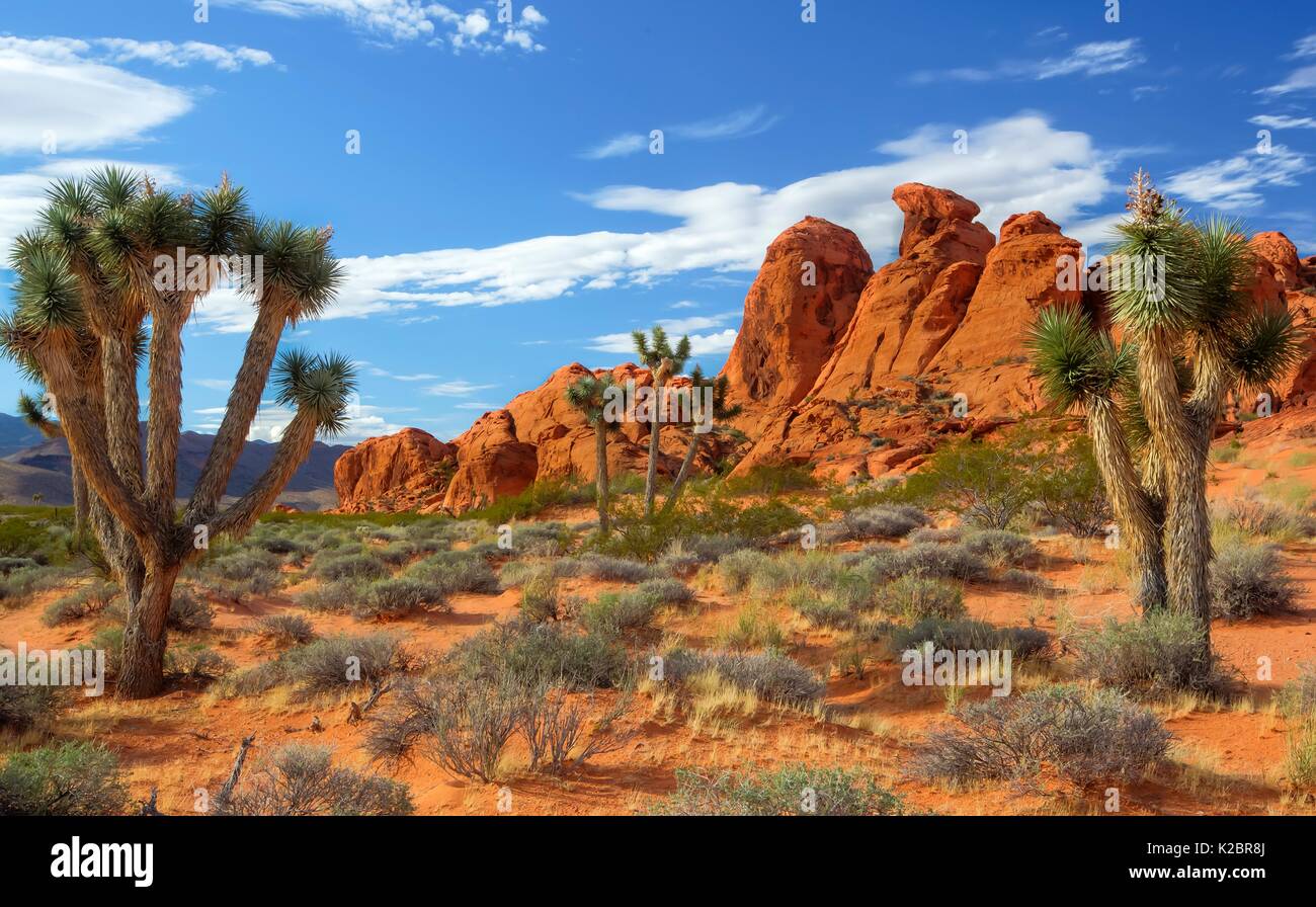 The sun sets over sandstone rock striations at the Little Finland ...