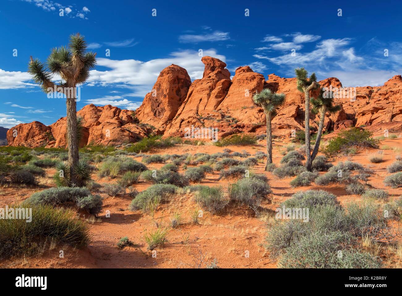 The sun sets over sandstone rock striations at the Little Finland ...