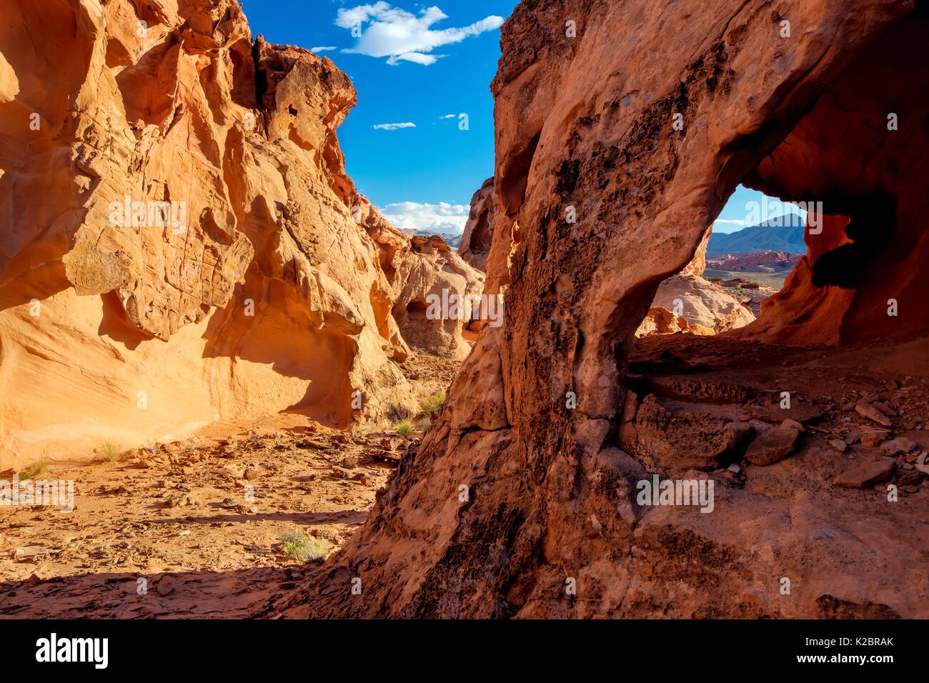 Gold butte national monument hi-res stock photography and images - Alamy