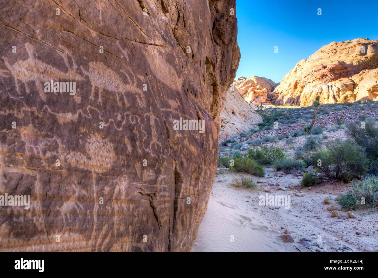 Native American petroglyph rock art is carved into the Aztec sandstone ...