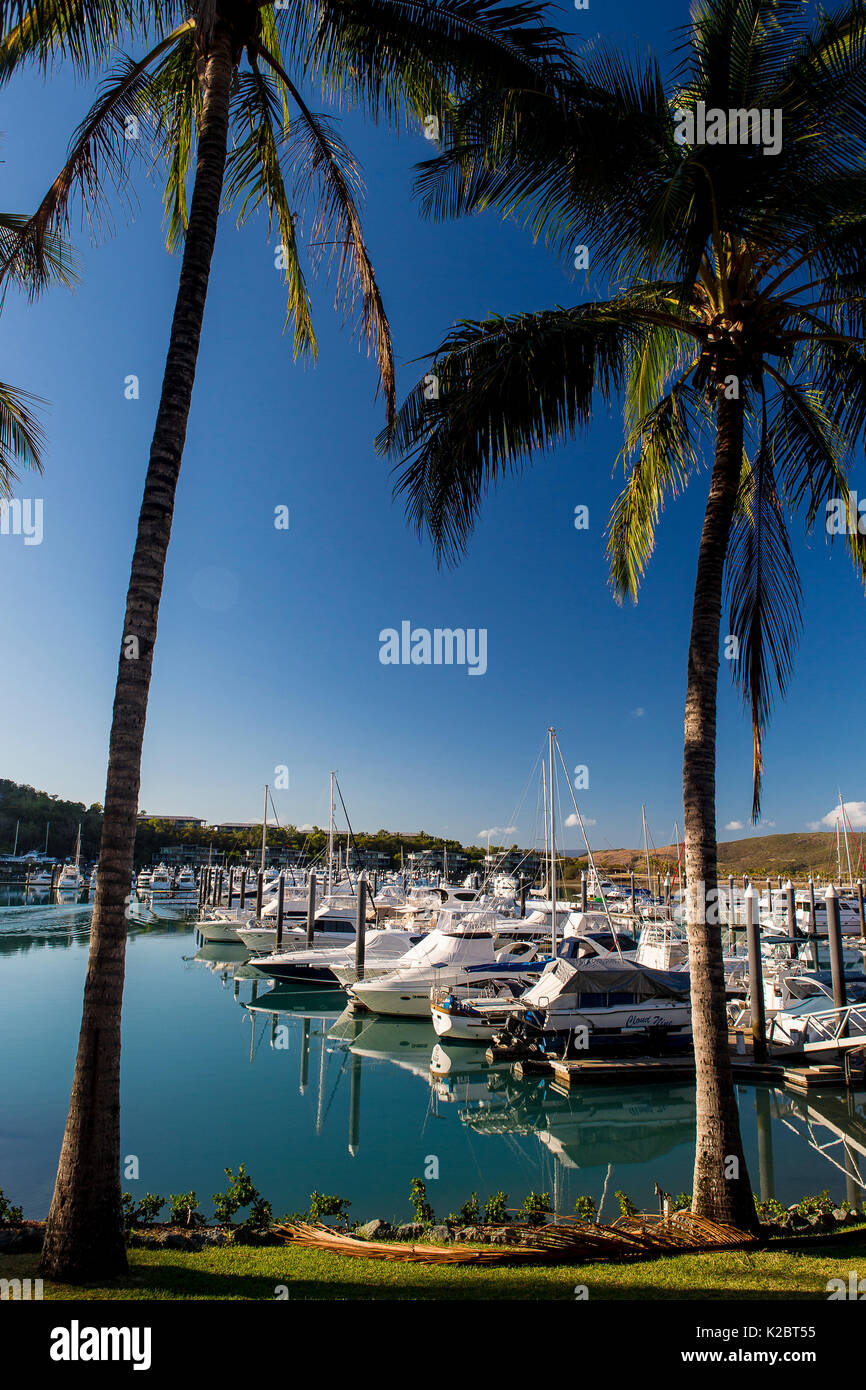Boats moored in Hamilton Island Marina, Whitsunday Islands, Queensland ...