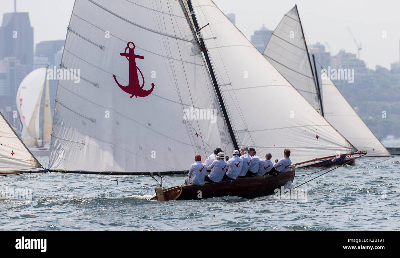 Sloop racing in Sydney Harbour with RIB nearby, New South Wales ...