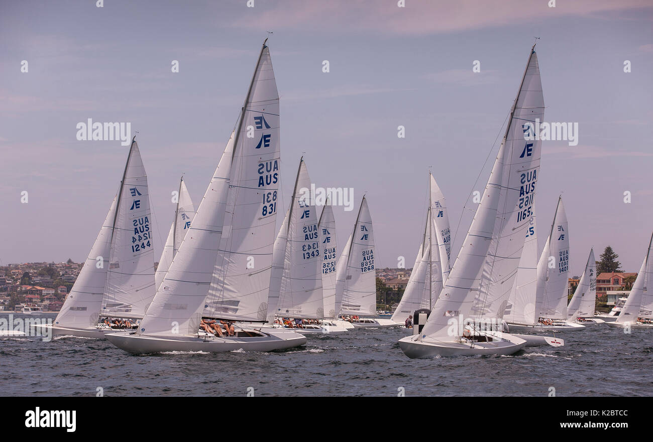 Types Of Racing Sailboats