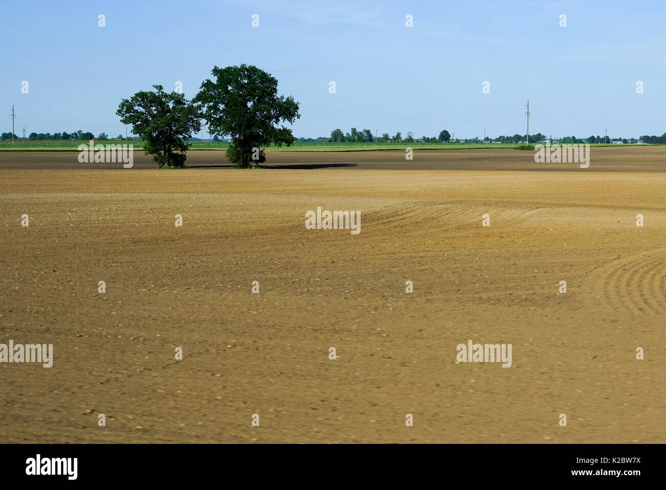 Rural landscape in Lithuania Stock Photo - Alamy
