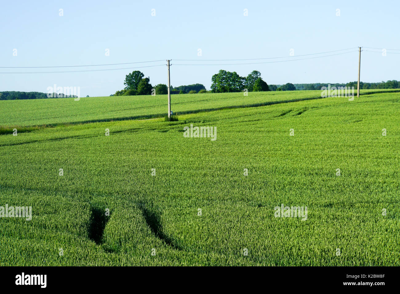 Rural landscape in Lithuania Stock Photo - Alamy