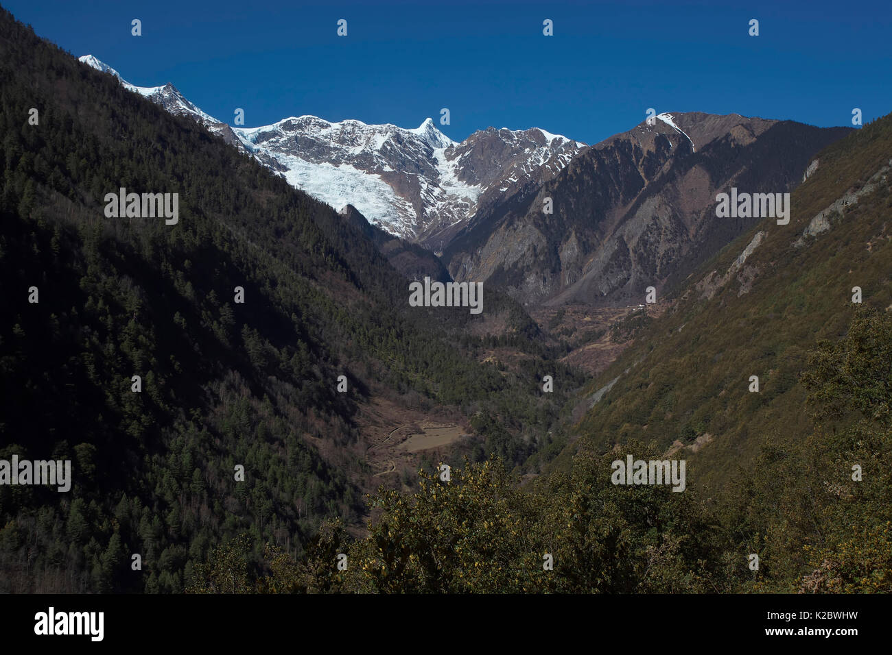 Mountain landscape with coniferous forest, Kawakarpo Mountain, Meri ...