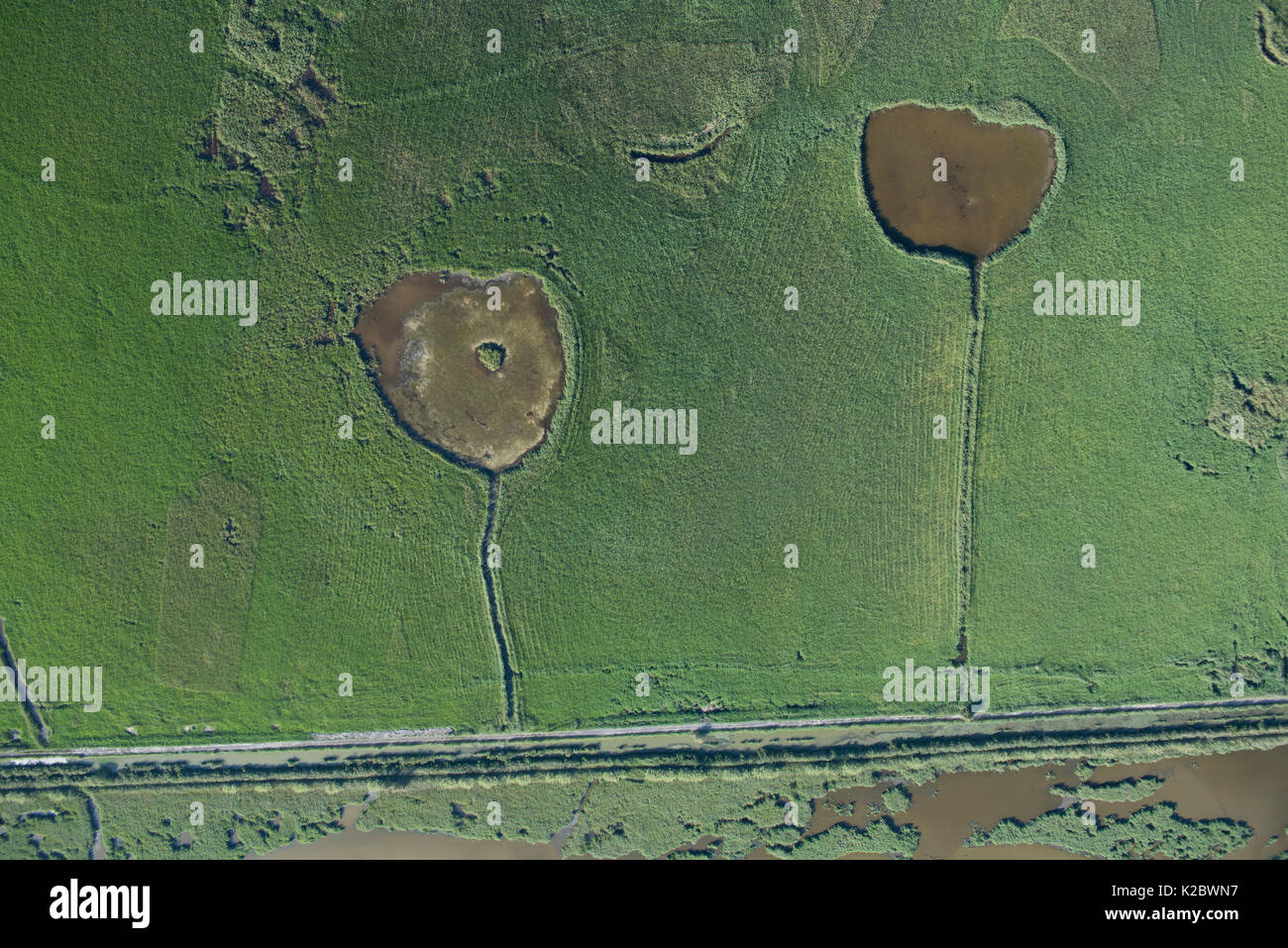 Aerial view of marsh hi-res stock photography and images - Alamy
