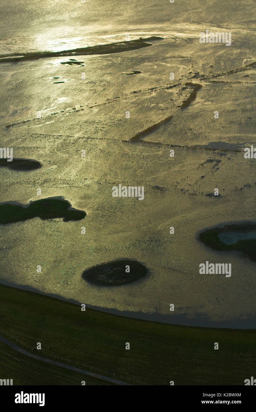 Aerial view of Steart Marshes, agricultural land transformed into ...