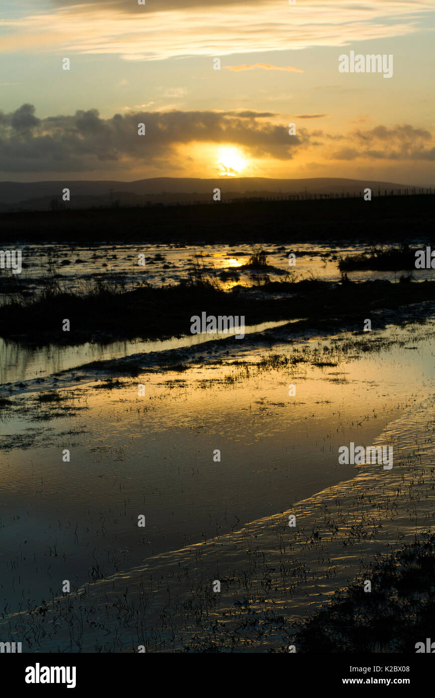 Sunset over Steart Marshes Nature Reserve, agricultural land ...