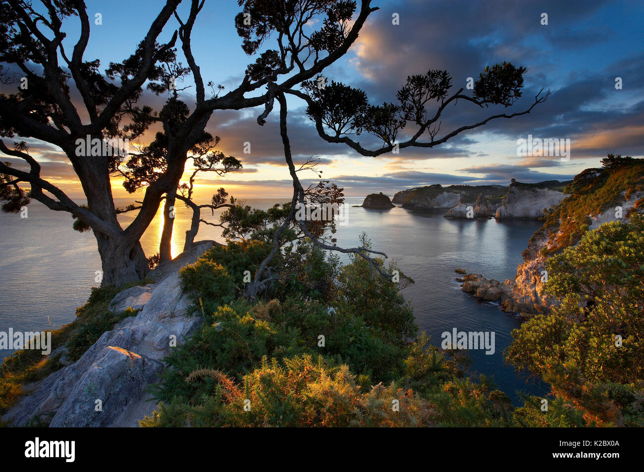 Sunrise at Te Pare Point, near Hahei, Coromandel Peninsula, North ...