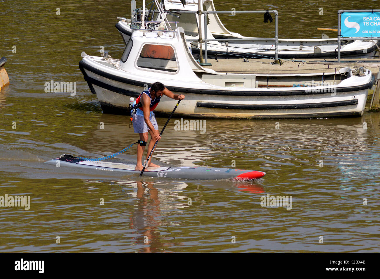 Man paddle boarding on the River Thames, Putney, London Stock Photo - Alamy