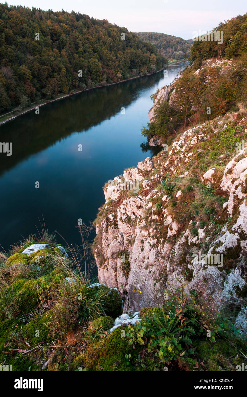 Deciduous forest along Danube River, Weltenburger Enge Nature Reserve ...
