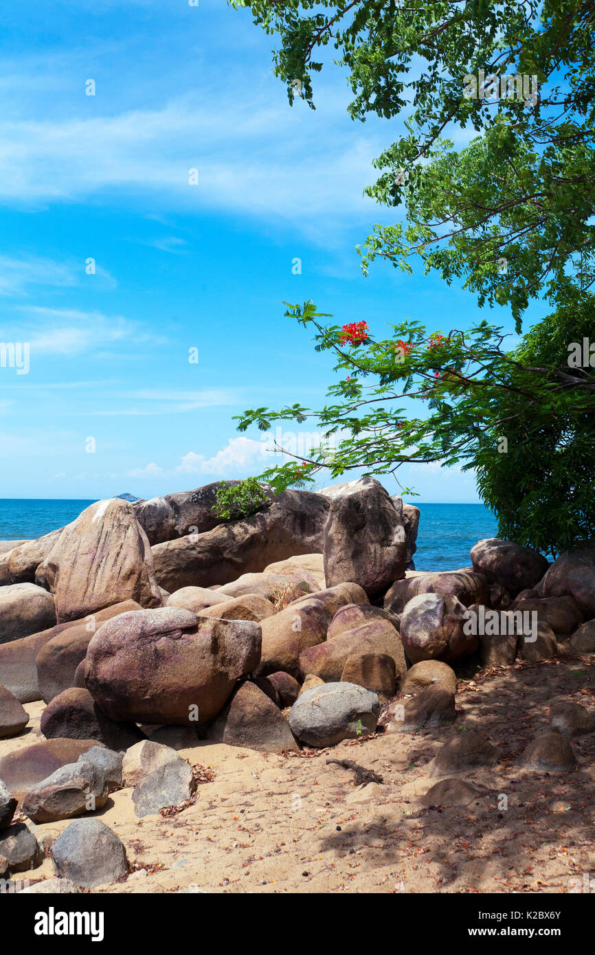Shore of Lake Malawi, Senga Bay, Malawi. November 2012 Stock Photo - Alamy