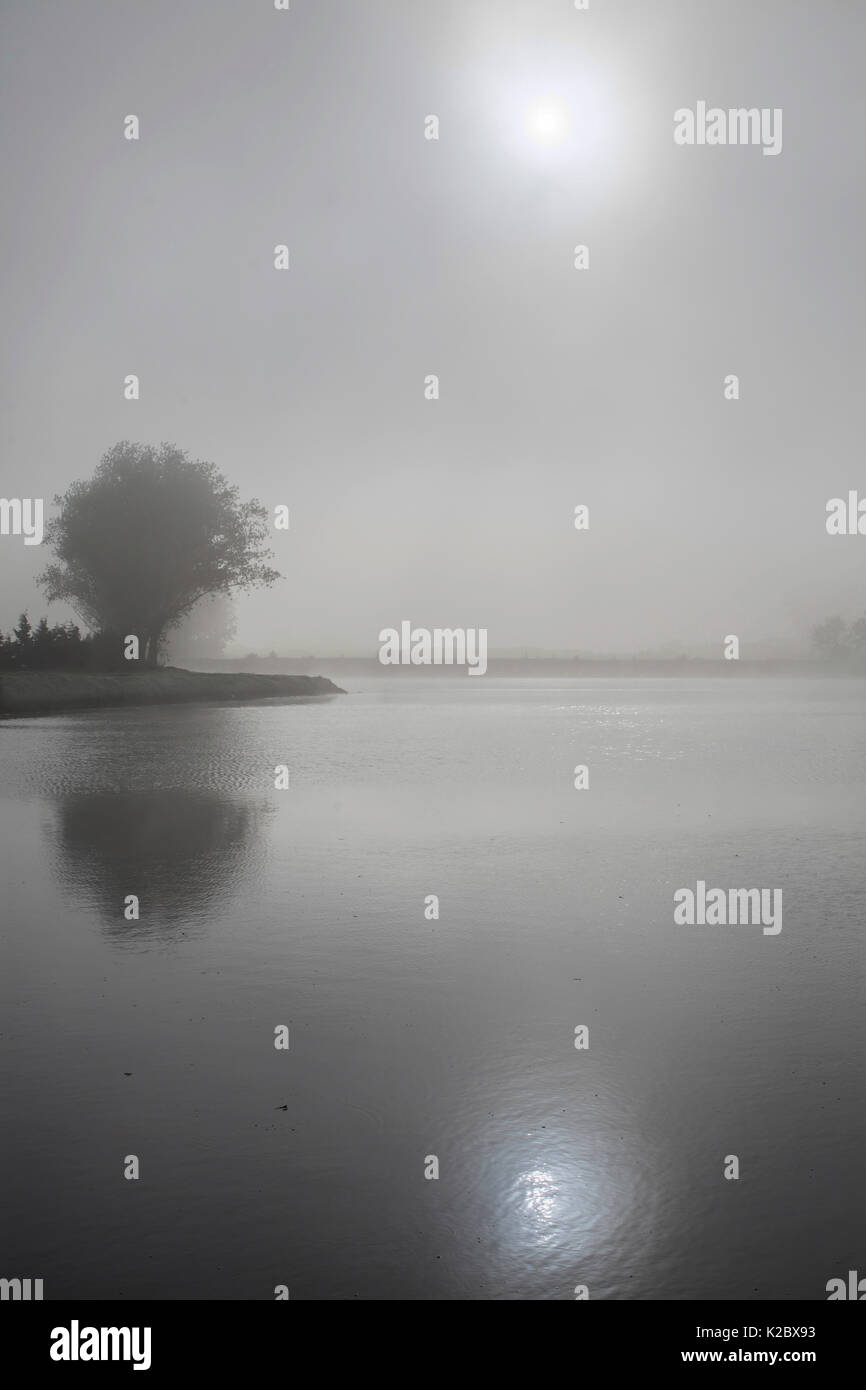 Sun shining through fog hi-res stock photography and images - Alamy