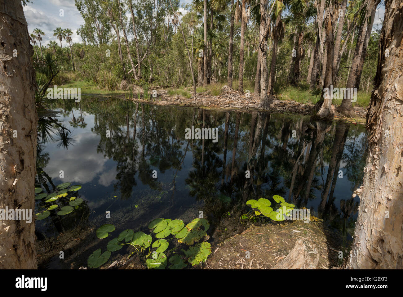 Elsey northern territory hi-res stock photography and images - Alamy