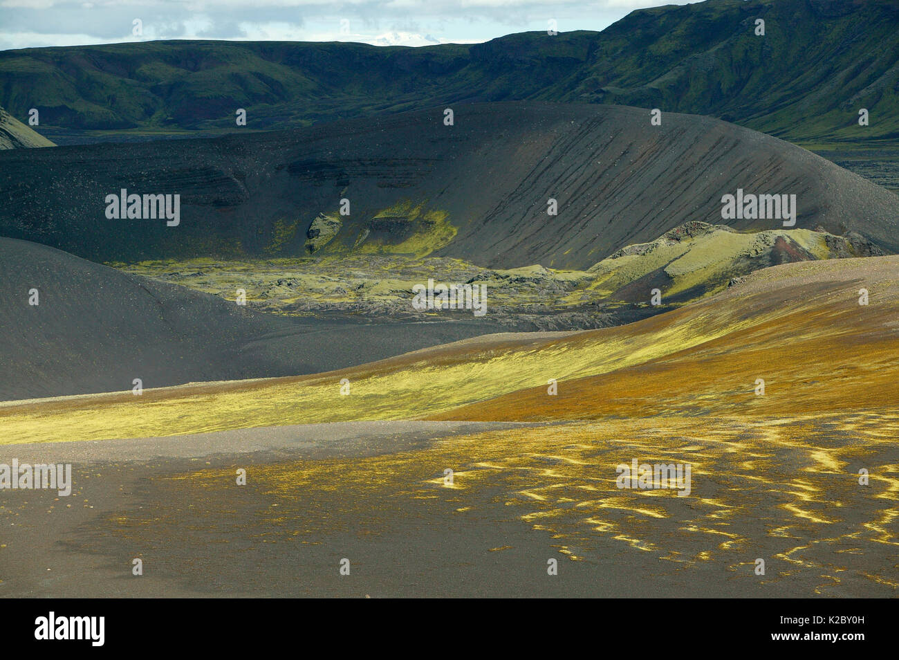 Volcanic caldera landscape, with lichen growing as the first stage of ...