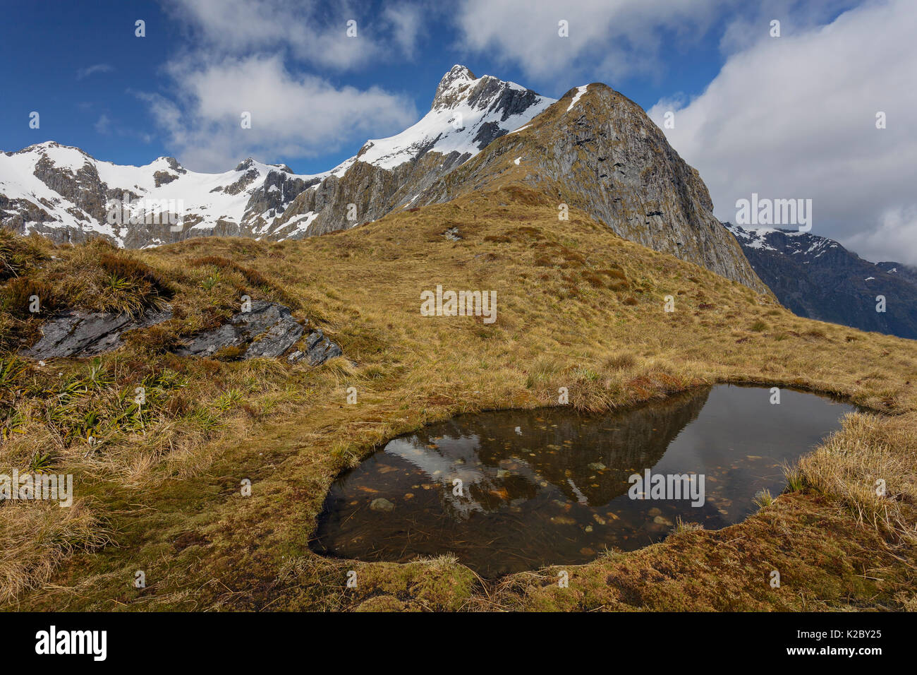 MacKinnon Pass, the highest point of the Milford track, Mount Hart ...