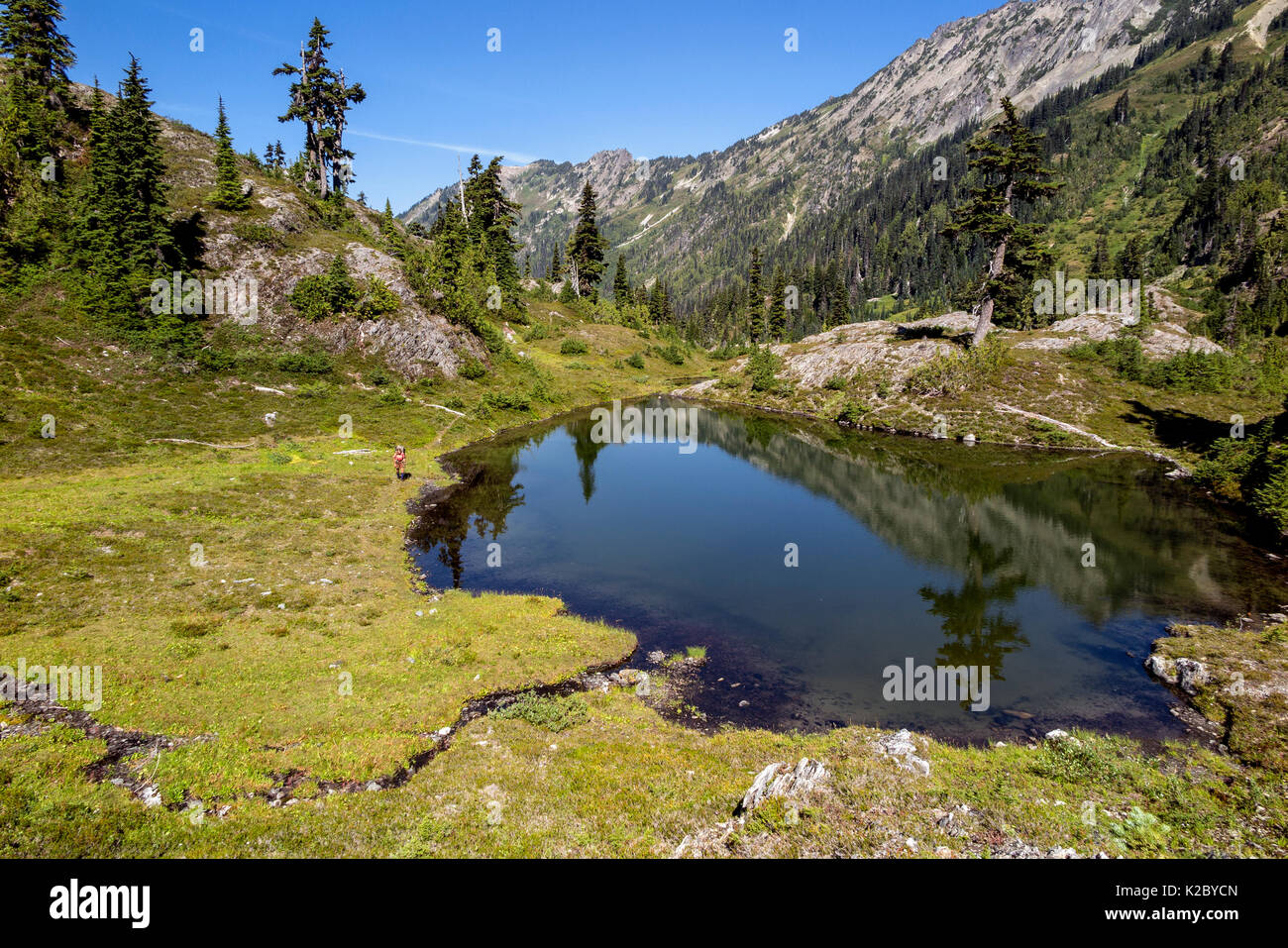 Hiker passing by small lake, Ferry Basin, Bailey Range Traverse ...