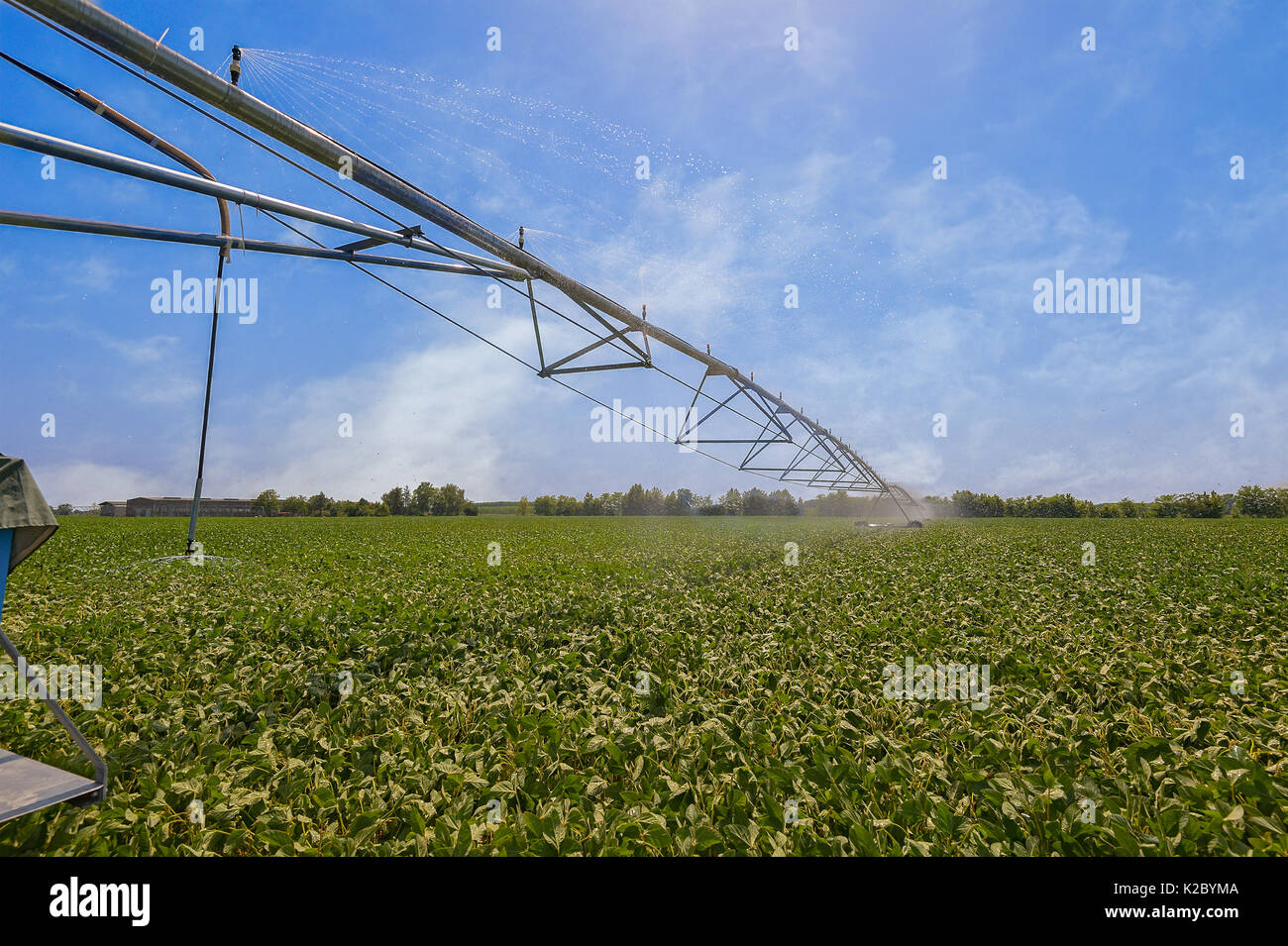 Crop sprinkler system hi-res stock photography and images - Alamy