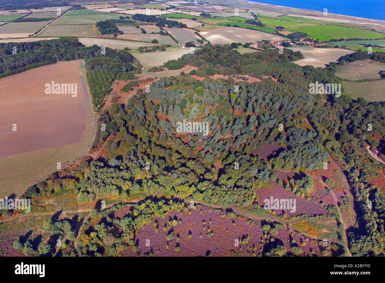 Aerial view of Kelling Heath Nature Reserve and farmland, Norfolk ...