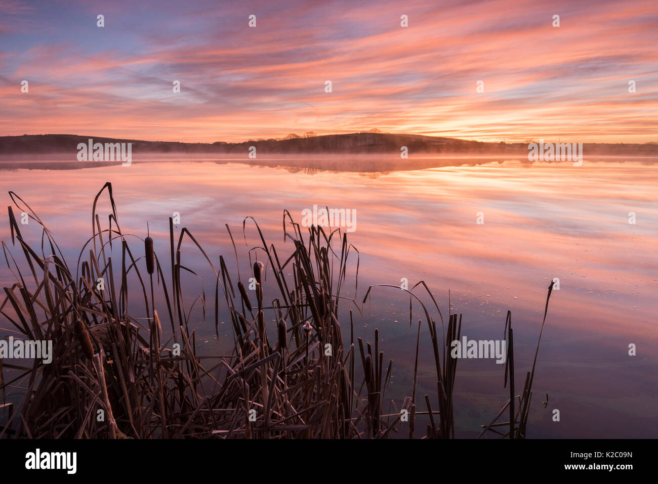 Lower tamar lake cornwall hi-res stock photography and images - Alamy