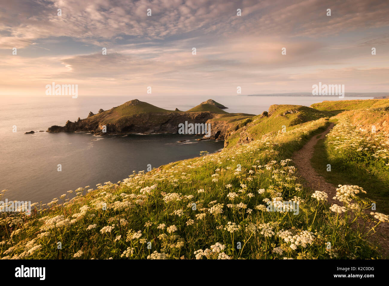 The Rumps, Pentire Head, late evening light with the Devon Coastal Path ...