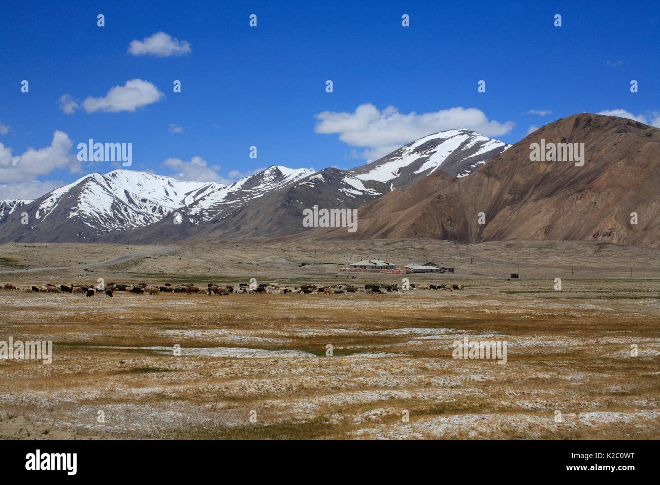 Desert landscape with cattle, road and old frontier post in Pamir's ...