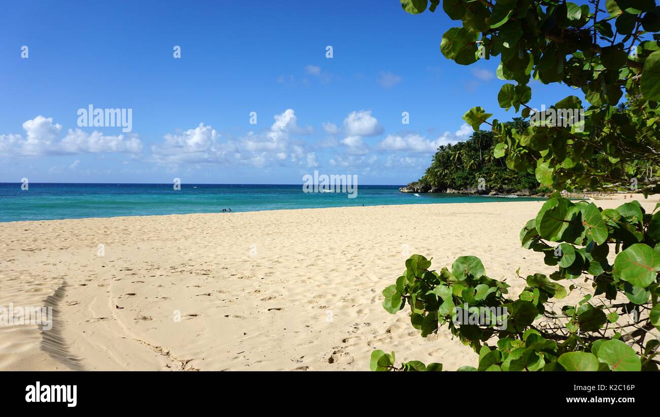 caribbean playa grande beach ion the dominican republic Stock Photo - Alamy