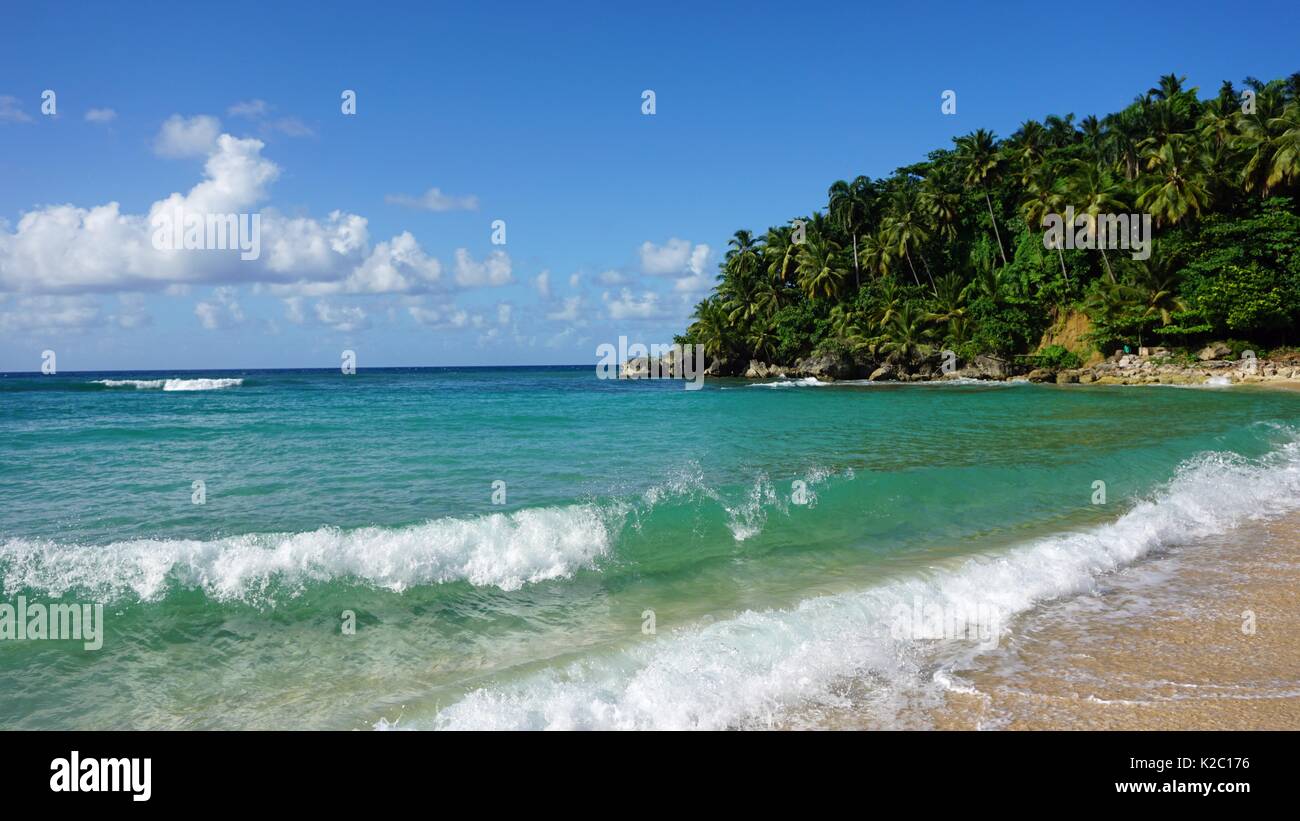 caribbean playa grande beach ion the dominican republic Stock Photo - Alamy