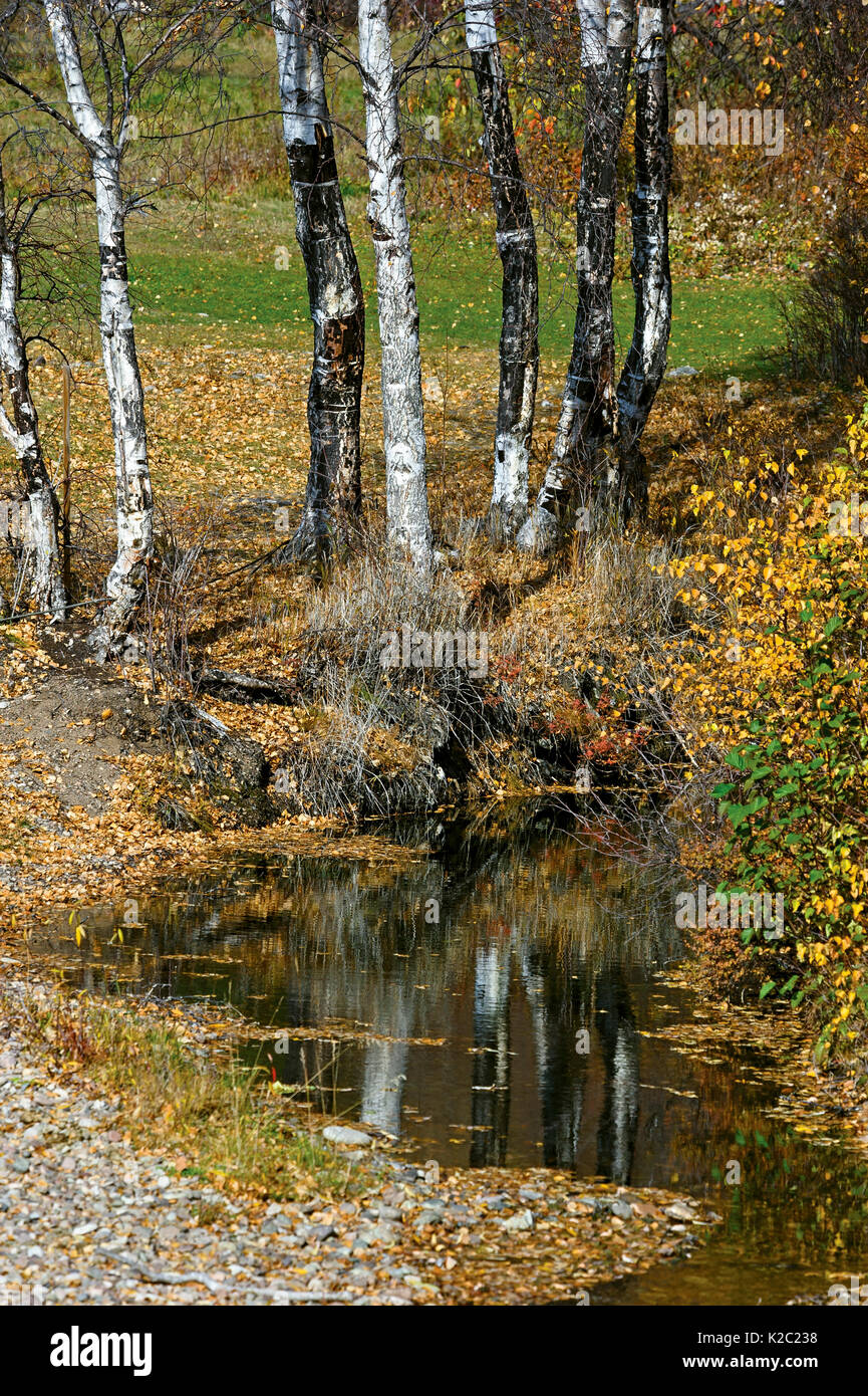October 2011 hi-res stock photography and images - Alamy
