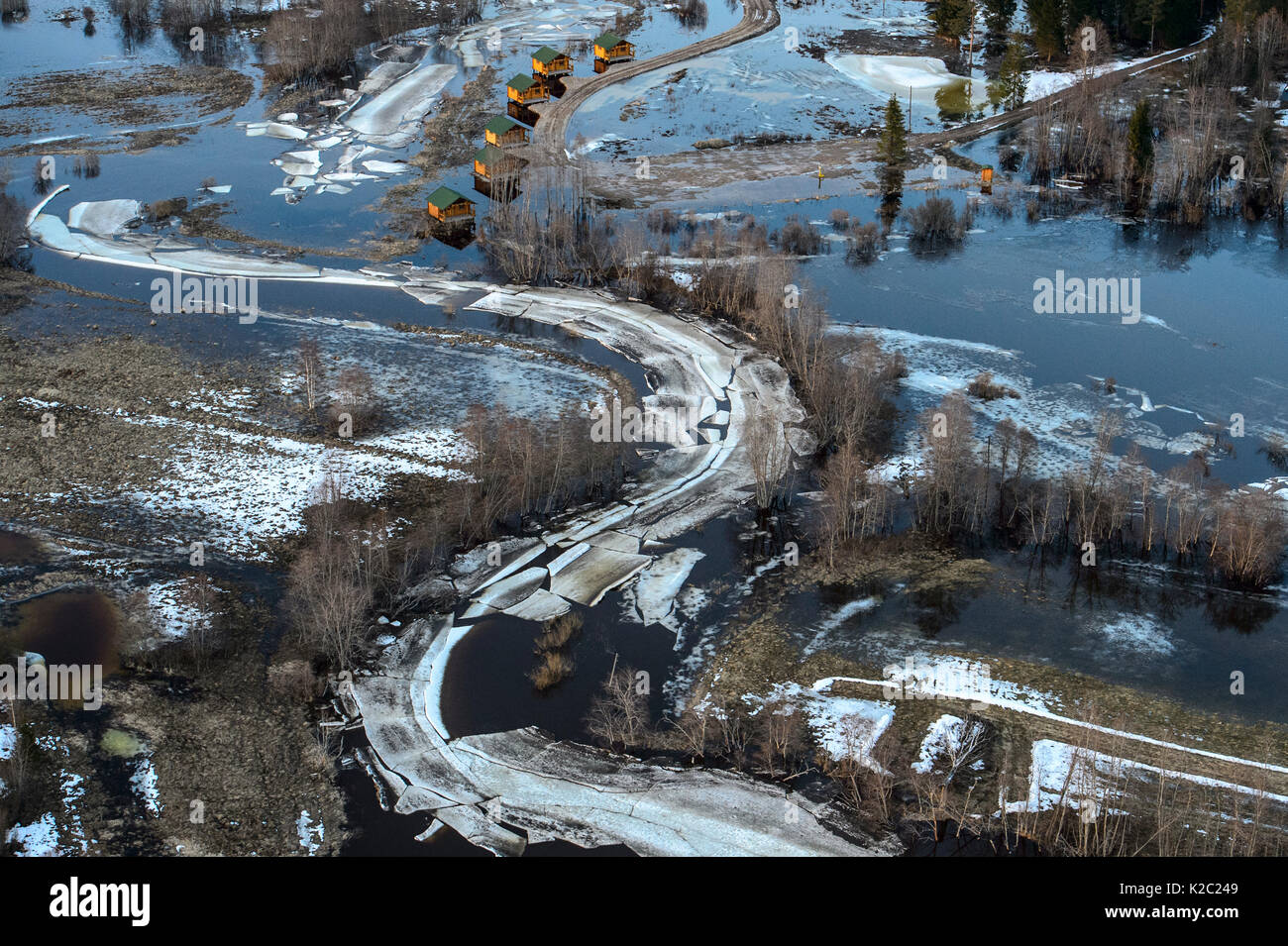 Aerial view of spring flooding in Soomaa National Park. Parnumaa county ...