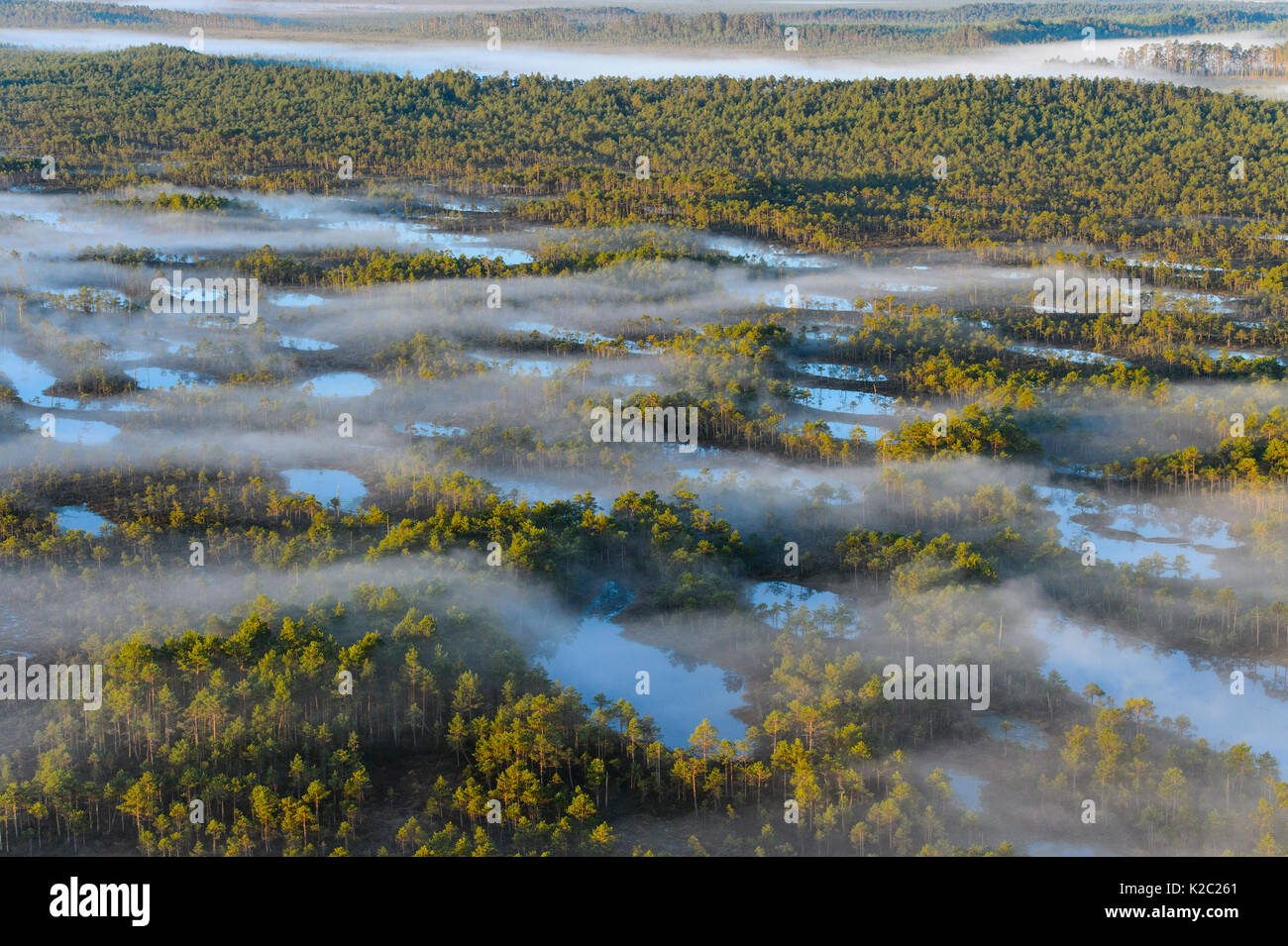 Tartumaa hi-res stock photography and images - Alamy
