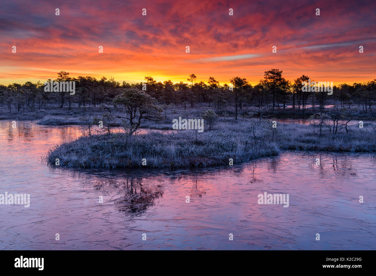 Colorful sunrise over frozen bog, Tartumaa, Estonia, October 2013 Stock ...