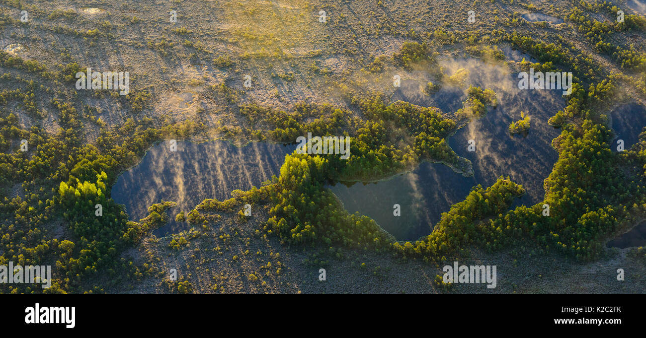 Aerial view of bog pools in the mist at sunrise, Sirtsi Nature Reserve ...